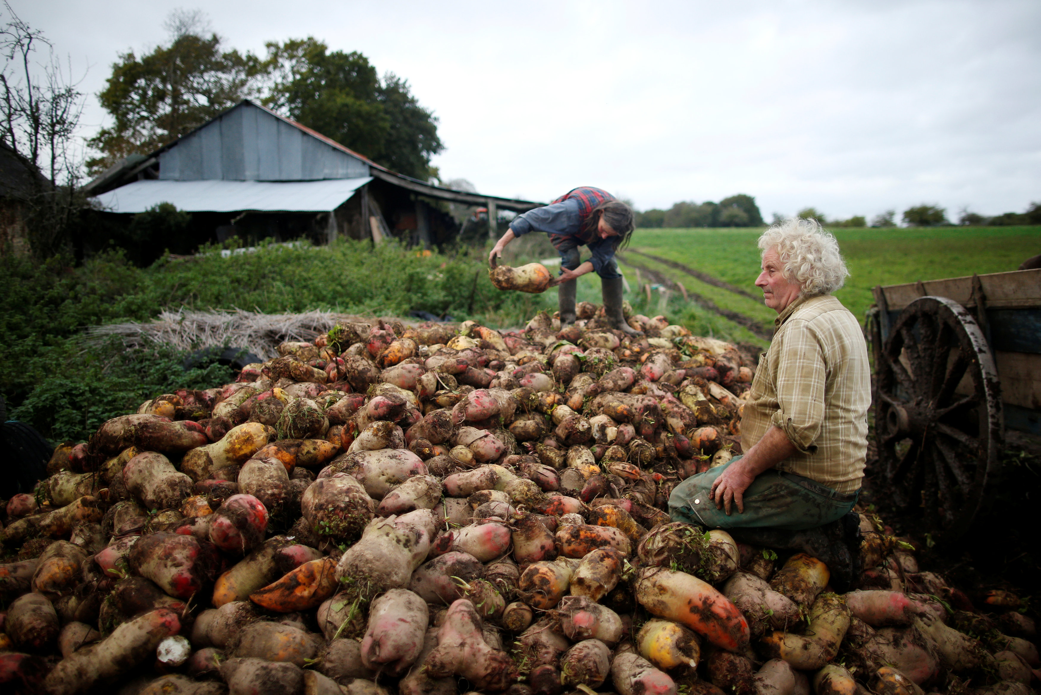 Wider Image: French farmer finds happiness in life before machines ...